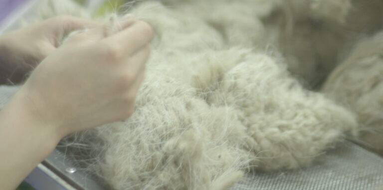 What Makes Cashmere, Cashmere? | SFA