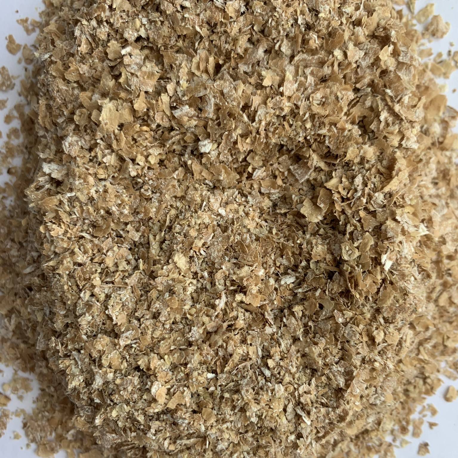 Winter Preparation & Feed Management | Field Research | SFA