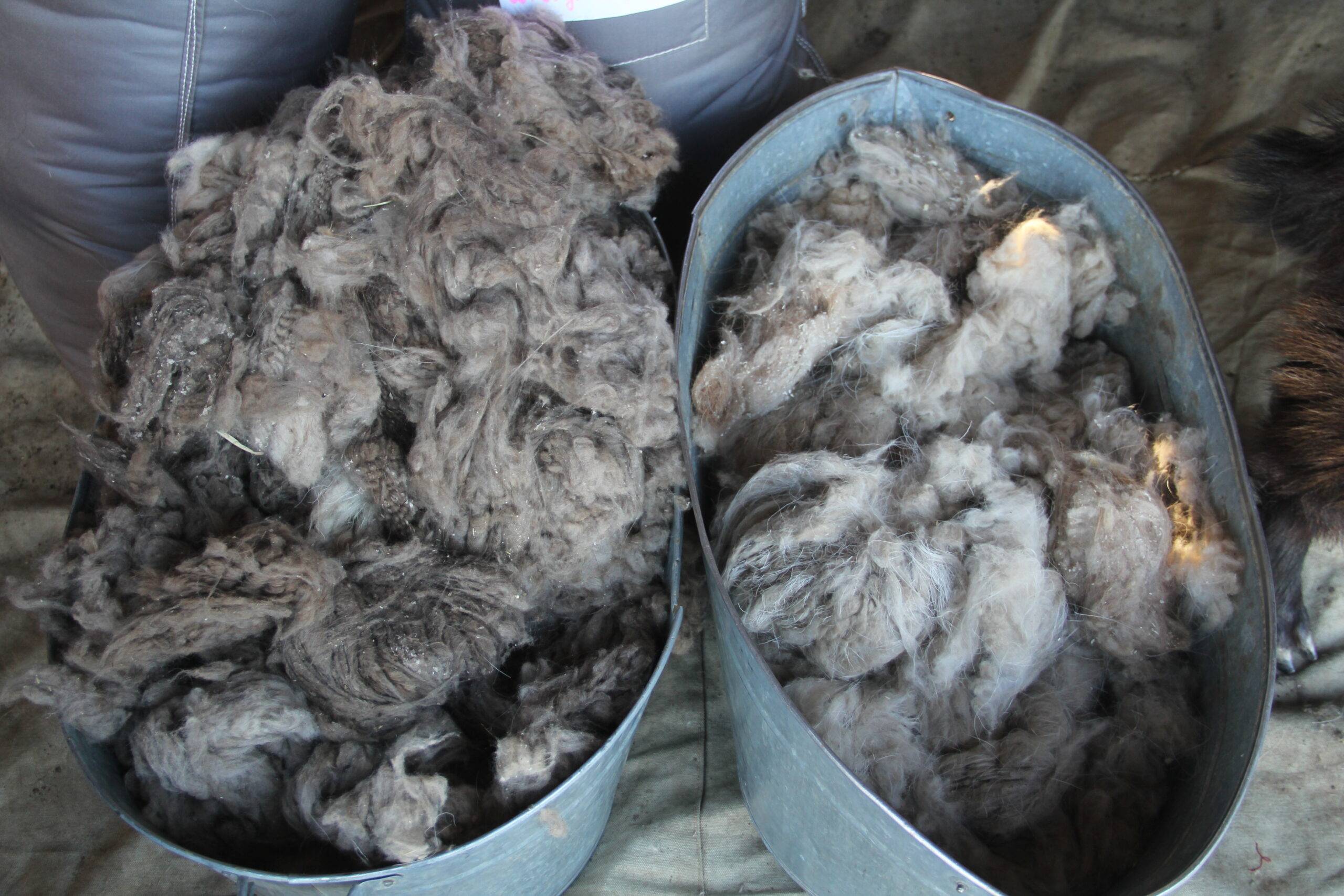 Discover how to become SFA-Certified today